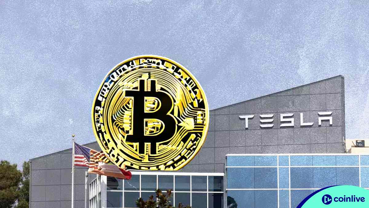 Tesla's Q3 2023 Report Summary: BTC Holdings Unchanged Amid Financial ...
